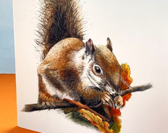 Red Fox Color Pencil Drawing. Giclee Print of My Original - Etsy