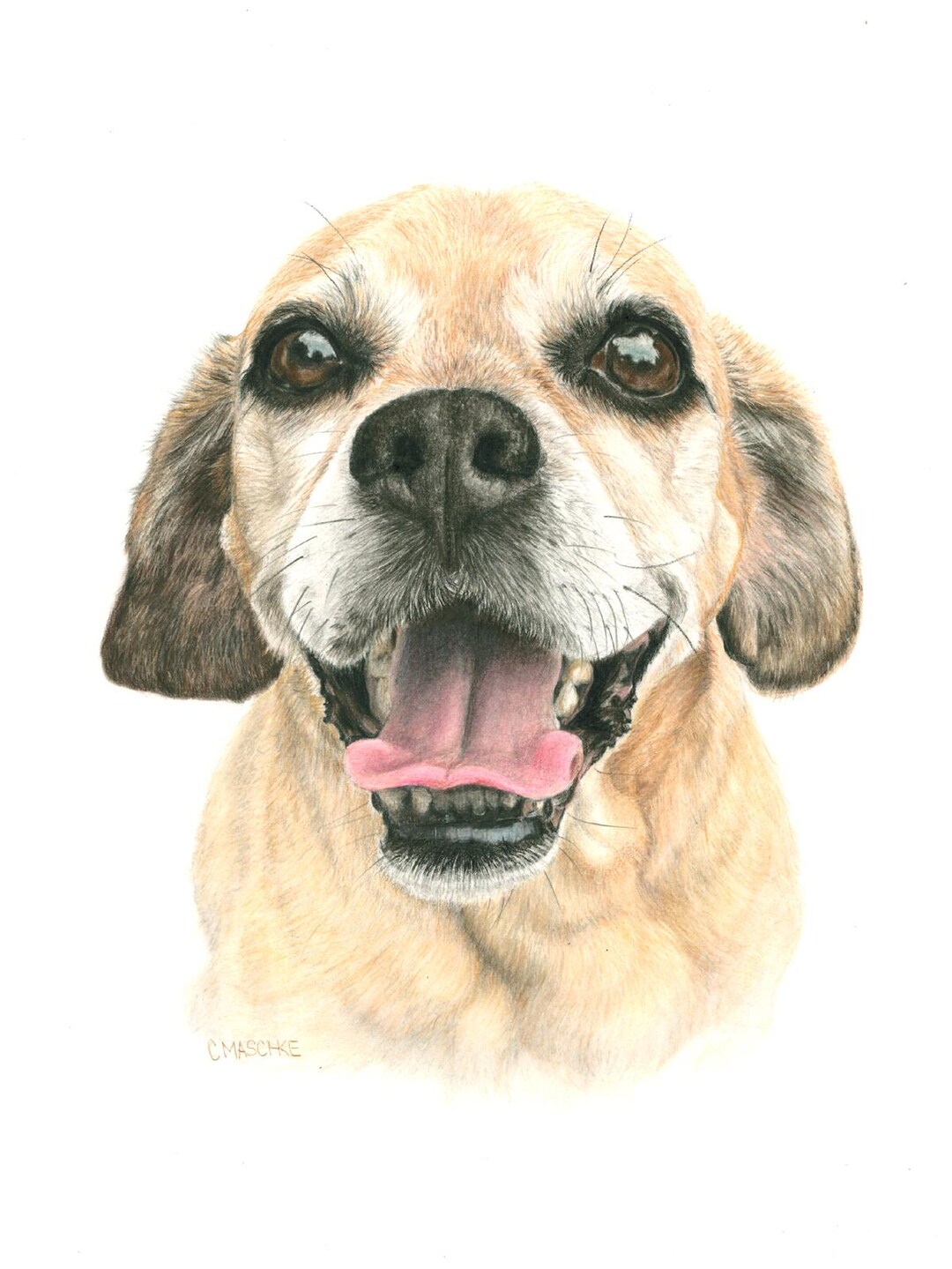 Puggle frodo Set of 6 Folded Blank Cards - Etsy