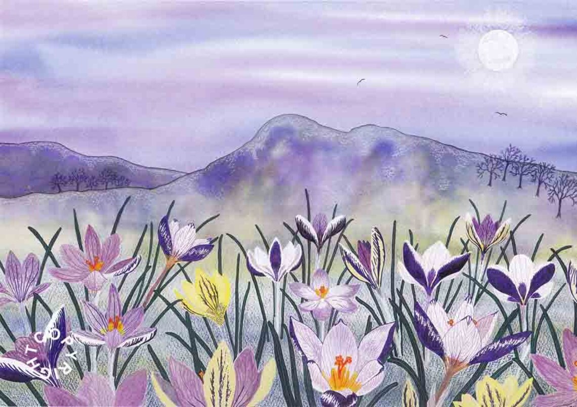 Art Print:crocus Moon A4 Flower Print, Wall Art, Crocus Painting ...