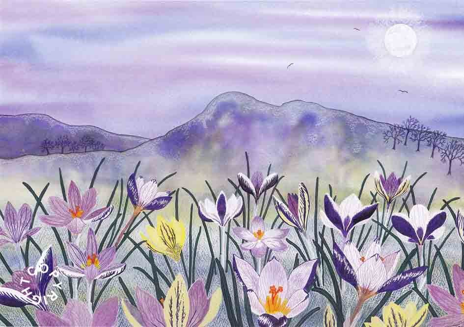 Art Print:"crocus Moon" -A4 Flower Print, Wall Art, Crocus Painting ...