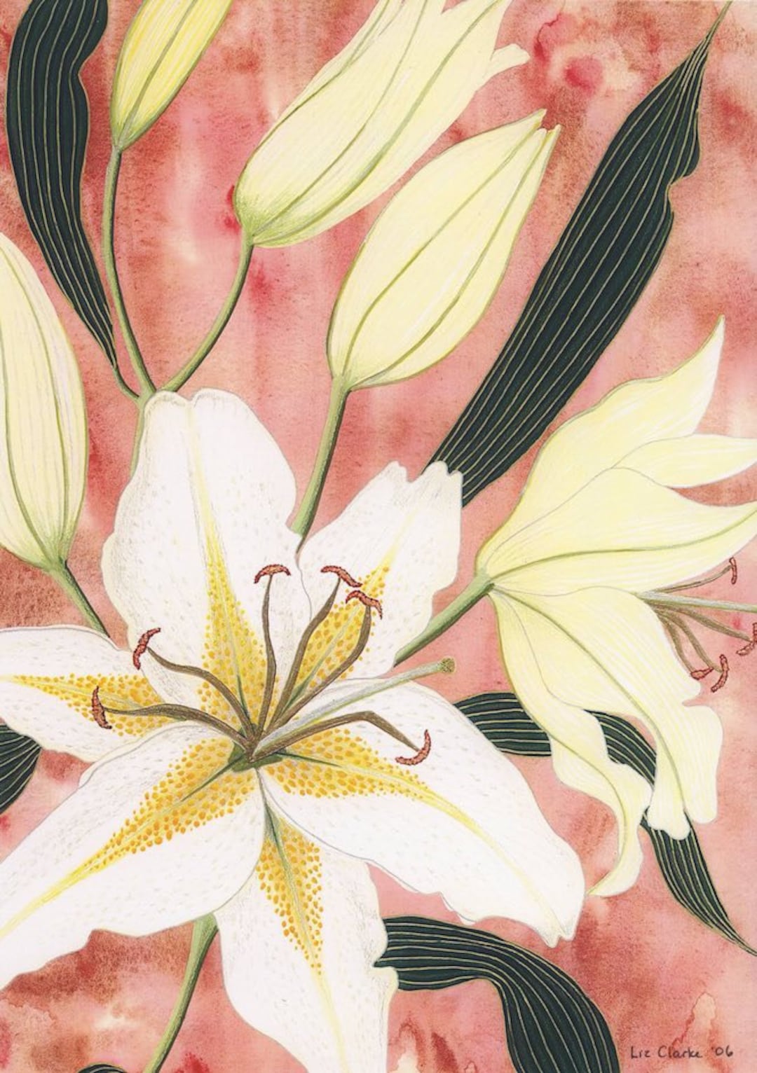 Art Print: "maria's Lilies" - A4 Flower Print, White Lily Print, Wall ...