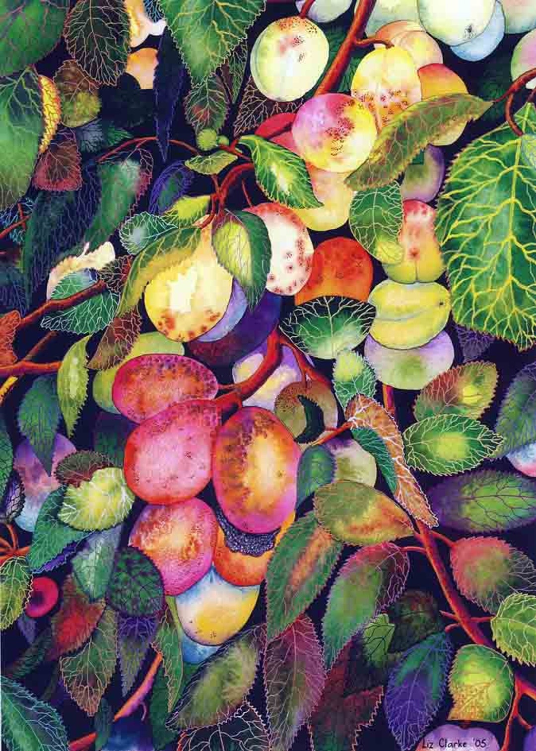 Art Print: "plum Tumble" - A3 Leaf and Fruit Print, Fruit Painting ...