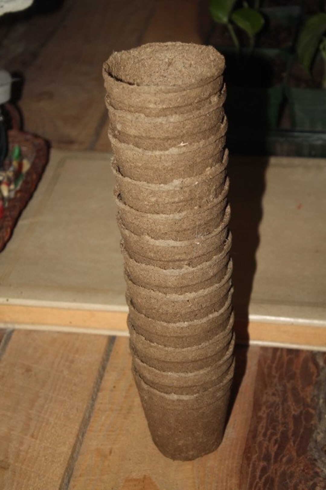 Cowpots - Biodegradable Seed Starter Pots, 12,24 or 48 Count - Etsy