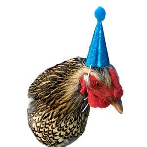 Pink Glitter Party Hat, Hedgehog Party Hat, Pink Birthdat Hat, Hat for ...