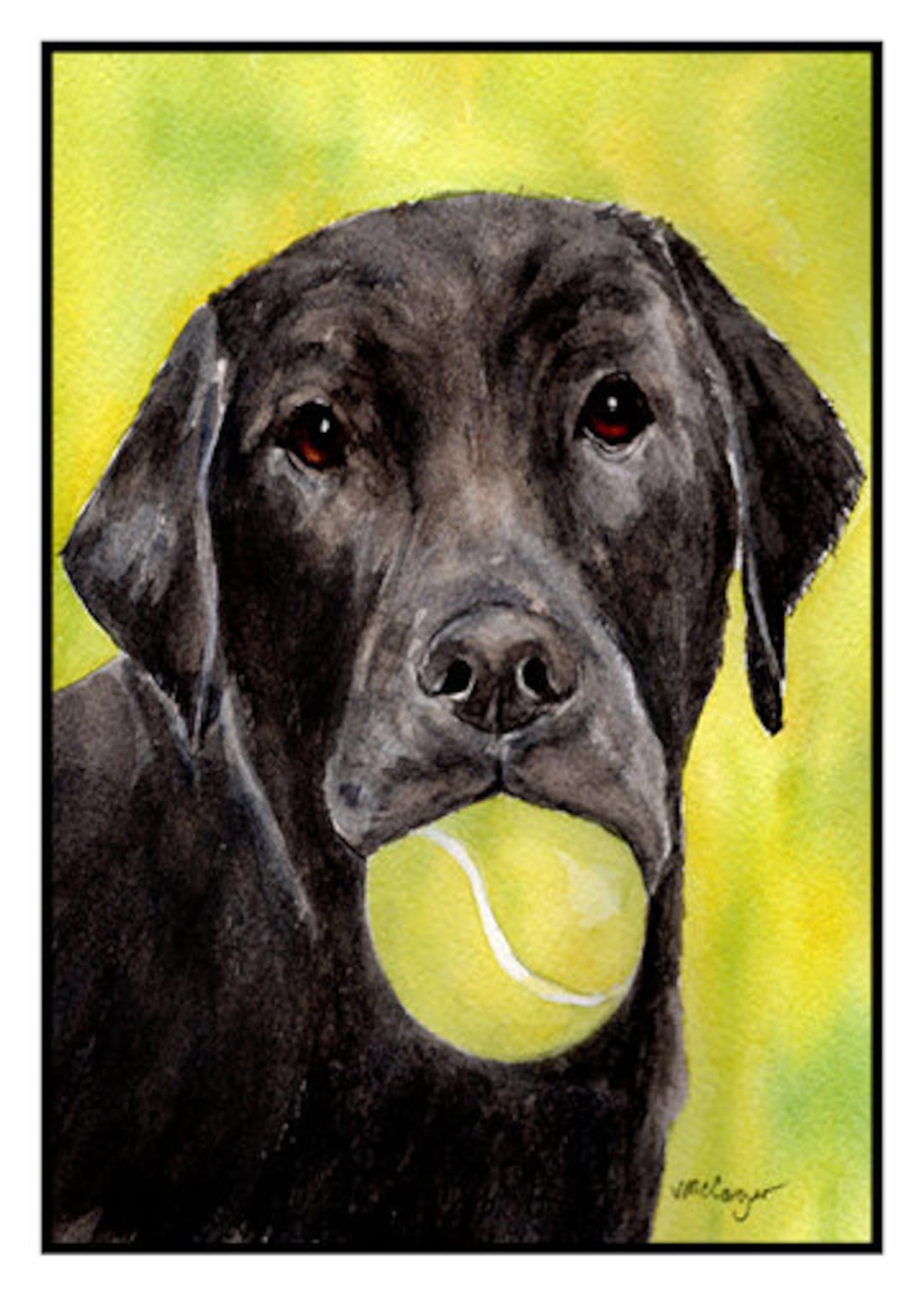 Birthday Black Labrador Dog Cards. Variety Four-pack Black Lab Cards ...