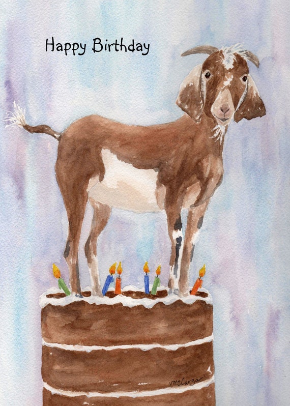 Happy Birthday Goat Gif