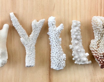 Real coral pieces | Etsy