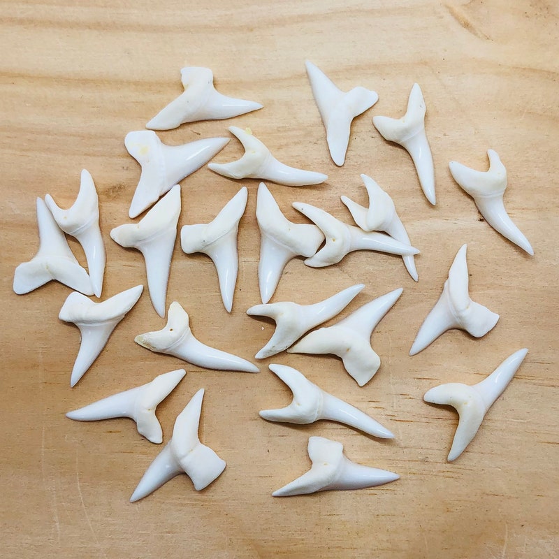 Kids Baby Teeth Jewelry - Etsy