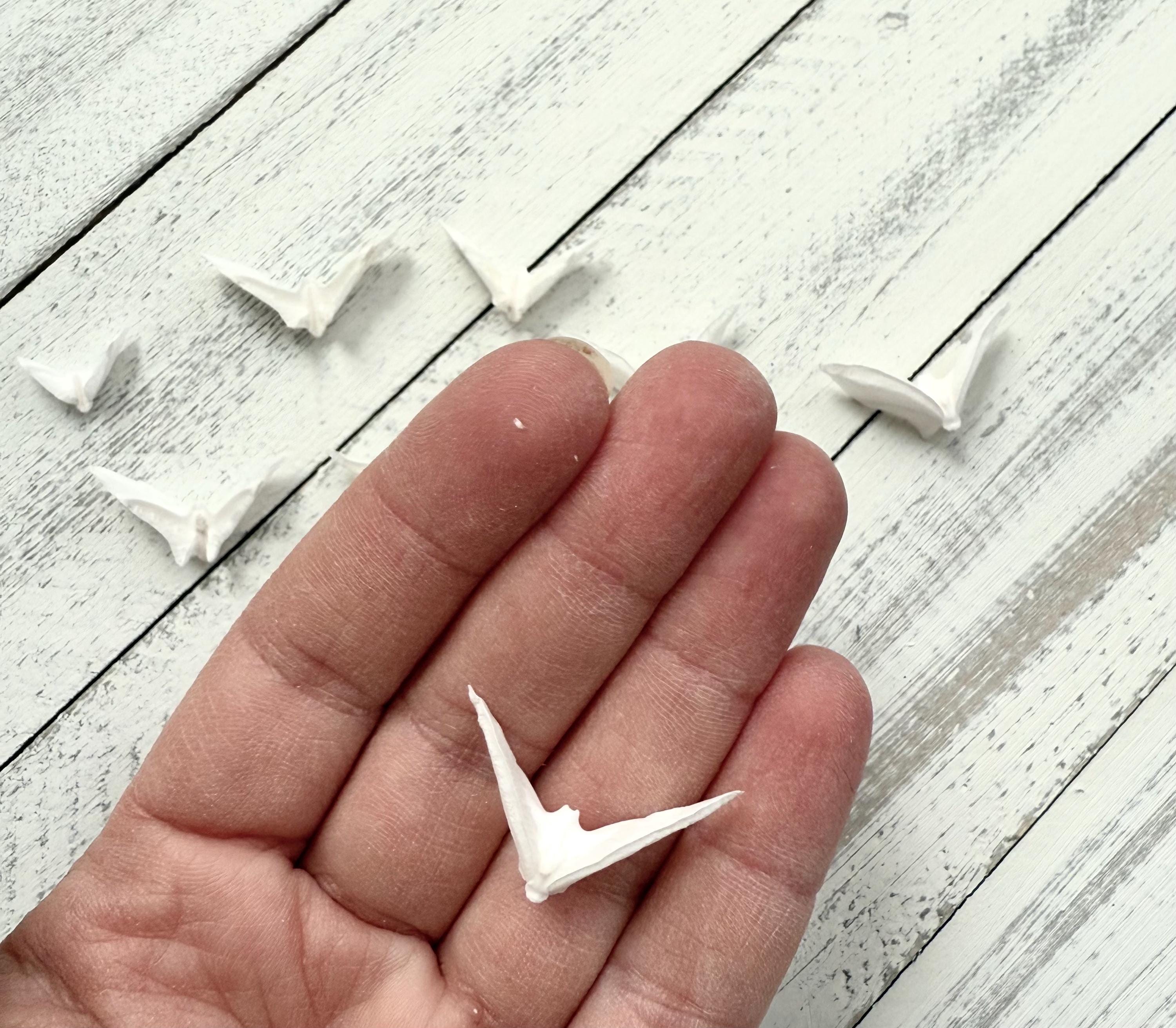 Sand Dollar Doves: Beach Wedding Decor, Craft Supplies - Etsy