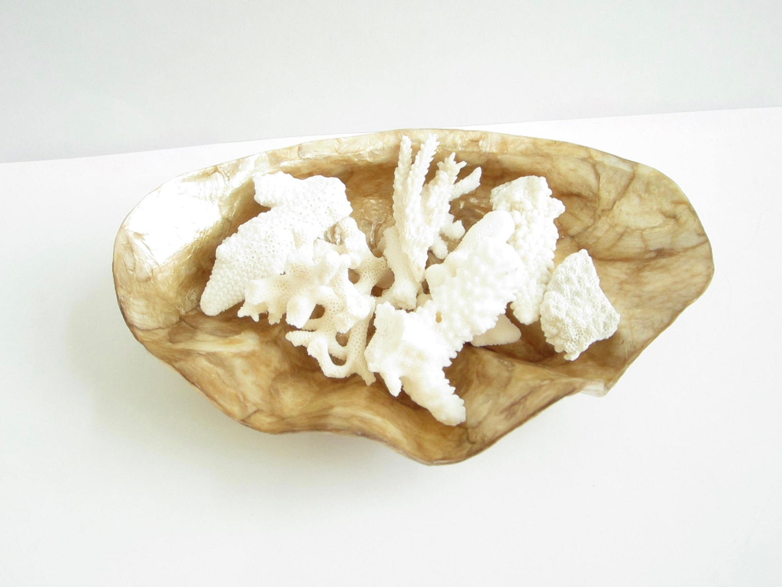 Capiz Shell Bowl-bowl Made Out of Shell-beach Wedding | Etsy