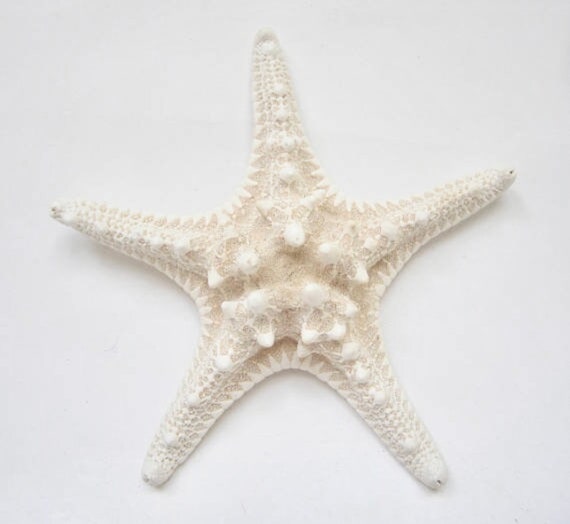 White Starfish On Beach