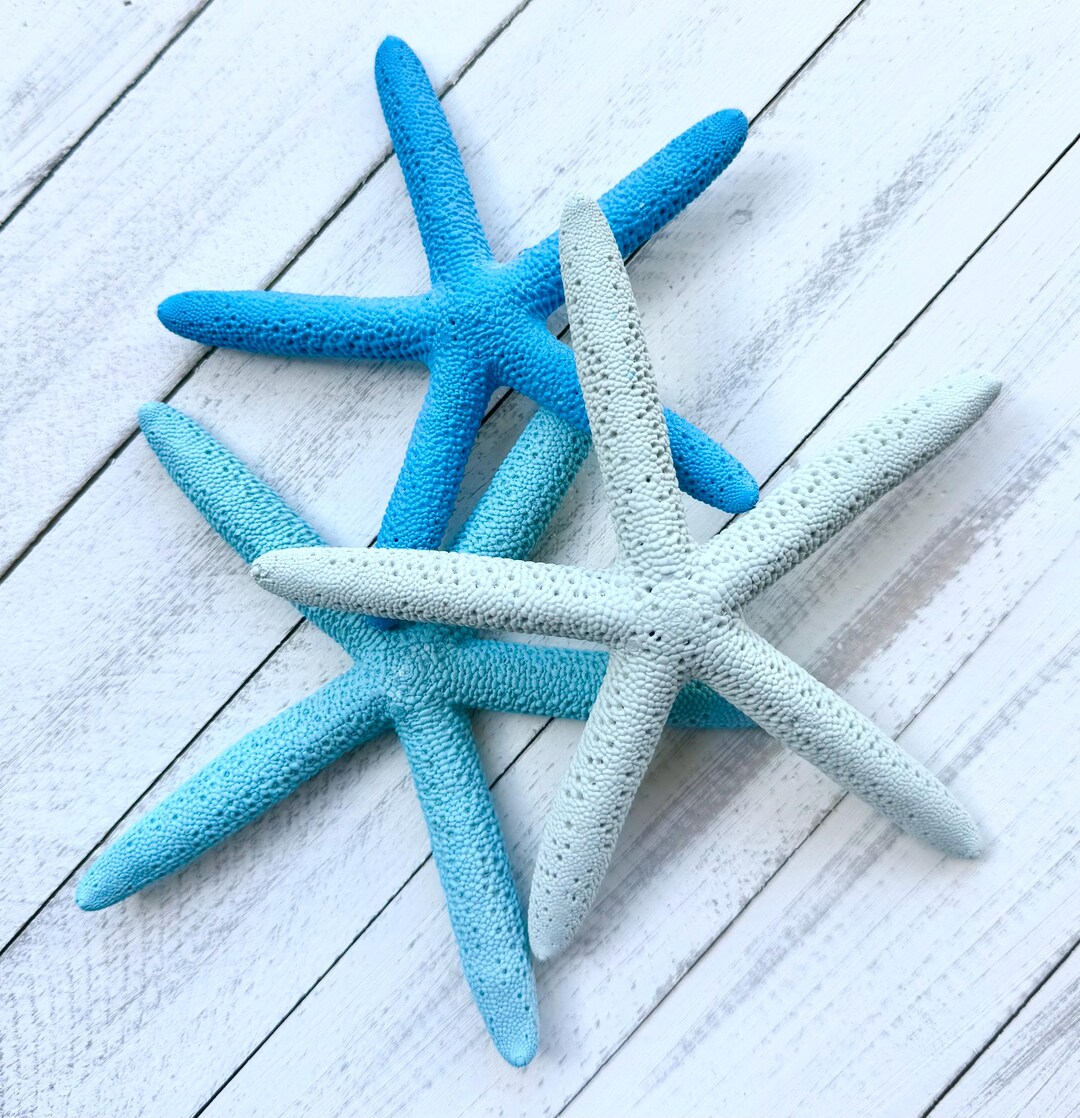 Painted Starfish - 6-7"-set of Three-robins Egg-aqua-turquoise-starfish ...