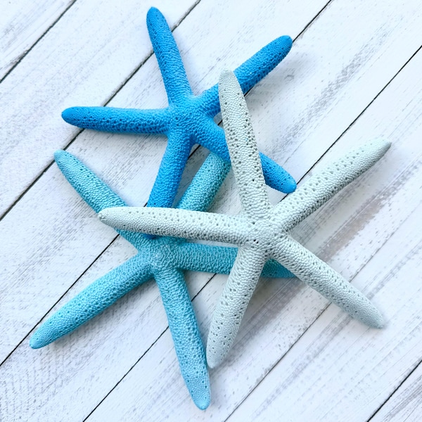 Painted Starfish - Etsy