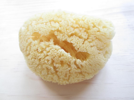 Sponge bath supplies store