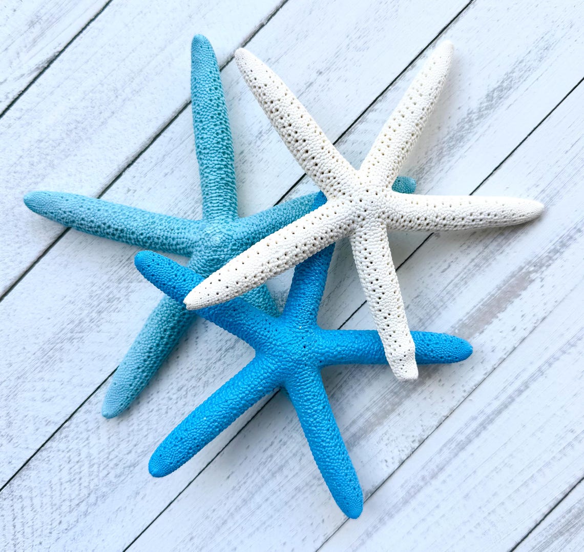 Painted Starfish-6-7"-set of Three-turquoise-aqua-white-starfish Decor ...