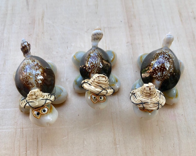 8" to 9" River Cooter Turtle Shell (1077-0809) Y3K - Etsy