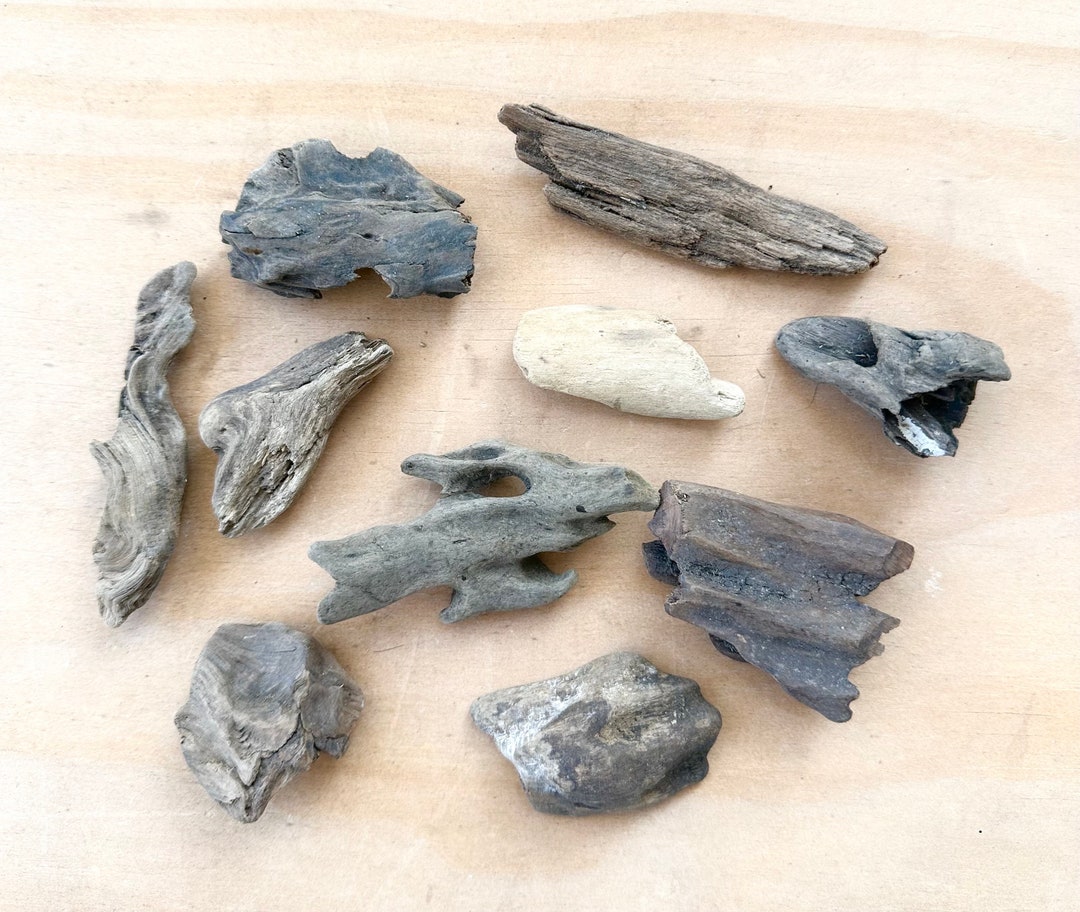 Assortment of 10 Driftwood Pieces-craft Supplies-driftwood Pieces ...