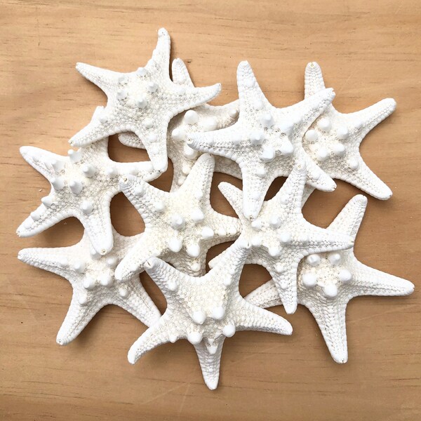 Starfish Home Decor - Etsy