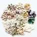 Small Seashell Mix: Deluxe Beach Wedding Decor, Craft Supplies - Etsy