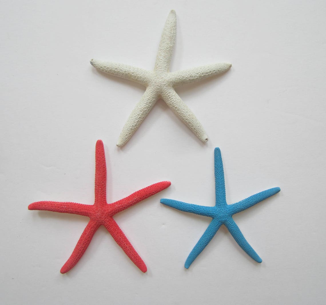 Painted Starfish-qty 1-assorted Colors-beach Wedding - Etsy