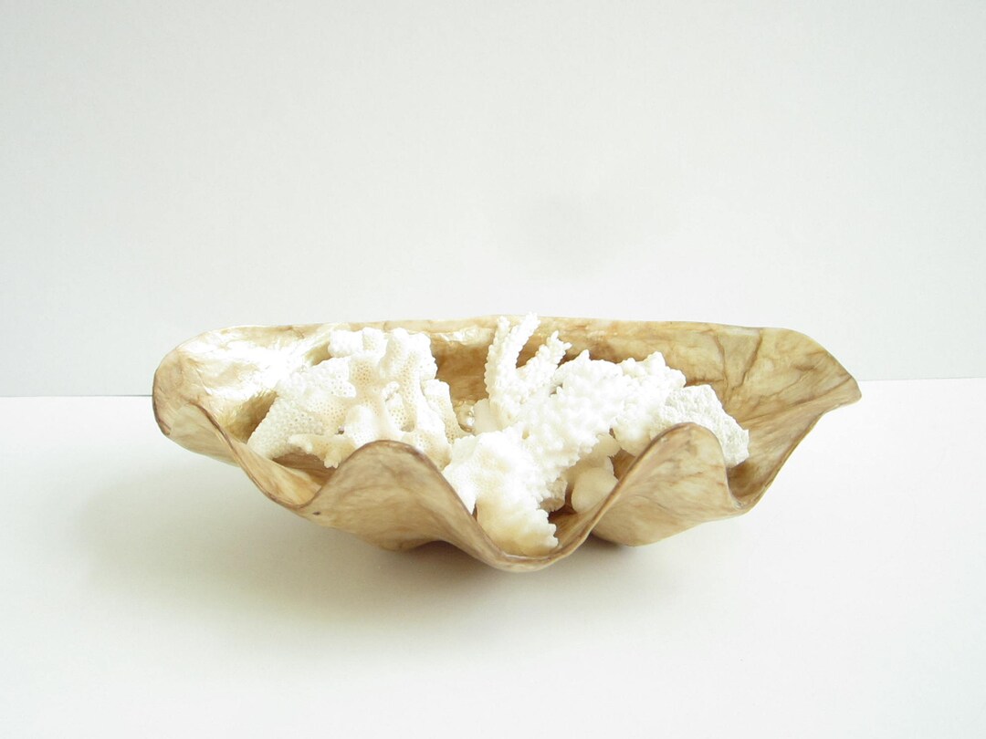 Capiz Shell Bowl-bowl Made Out of Shell-beach Wedding Decor-sea Shells ...