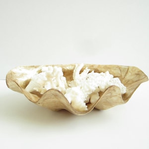 Capiz Shell Bowl-bowl Made Out of Shell-beach Wedding Decor-sea Shells ...