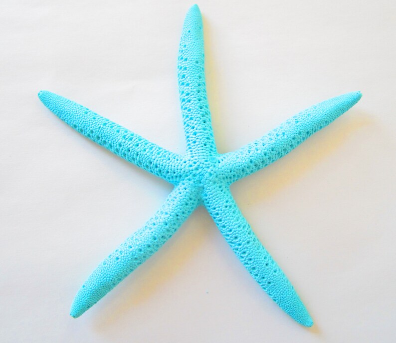 Painted Starfish 6-7set of Three-robin's - Etsy