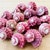 White Sea Shell Mix Beach Wedding Decor Sea Shells Bulk Bag of Shells ...
