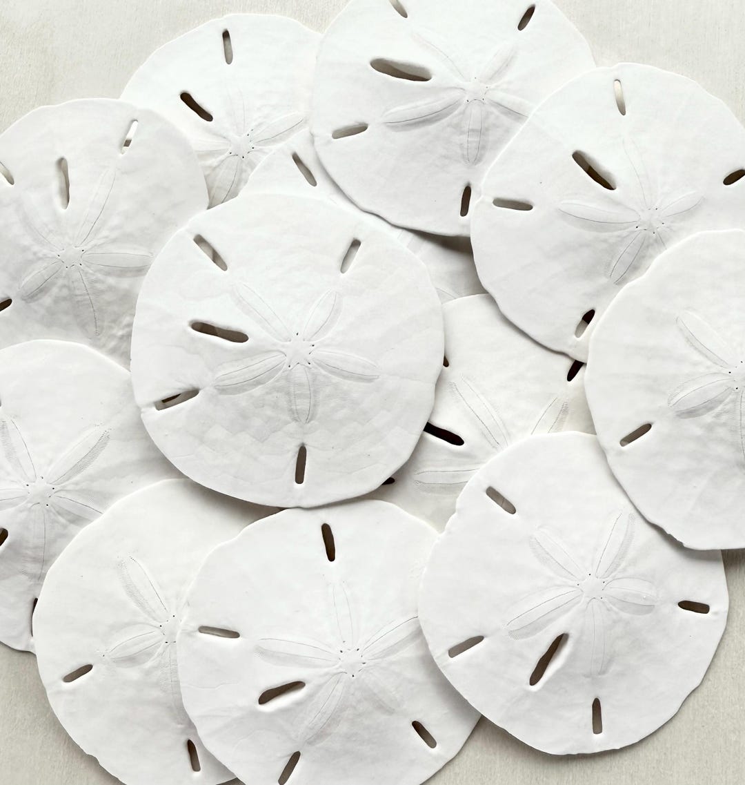 Sand Dollars-3.5-4"-sand Dollar-beach Wedding Decor-beach Wedding ...