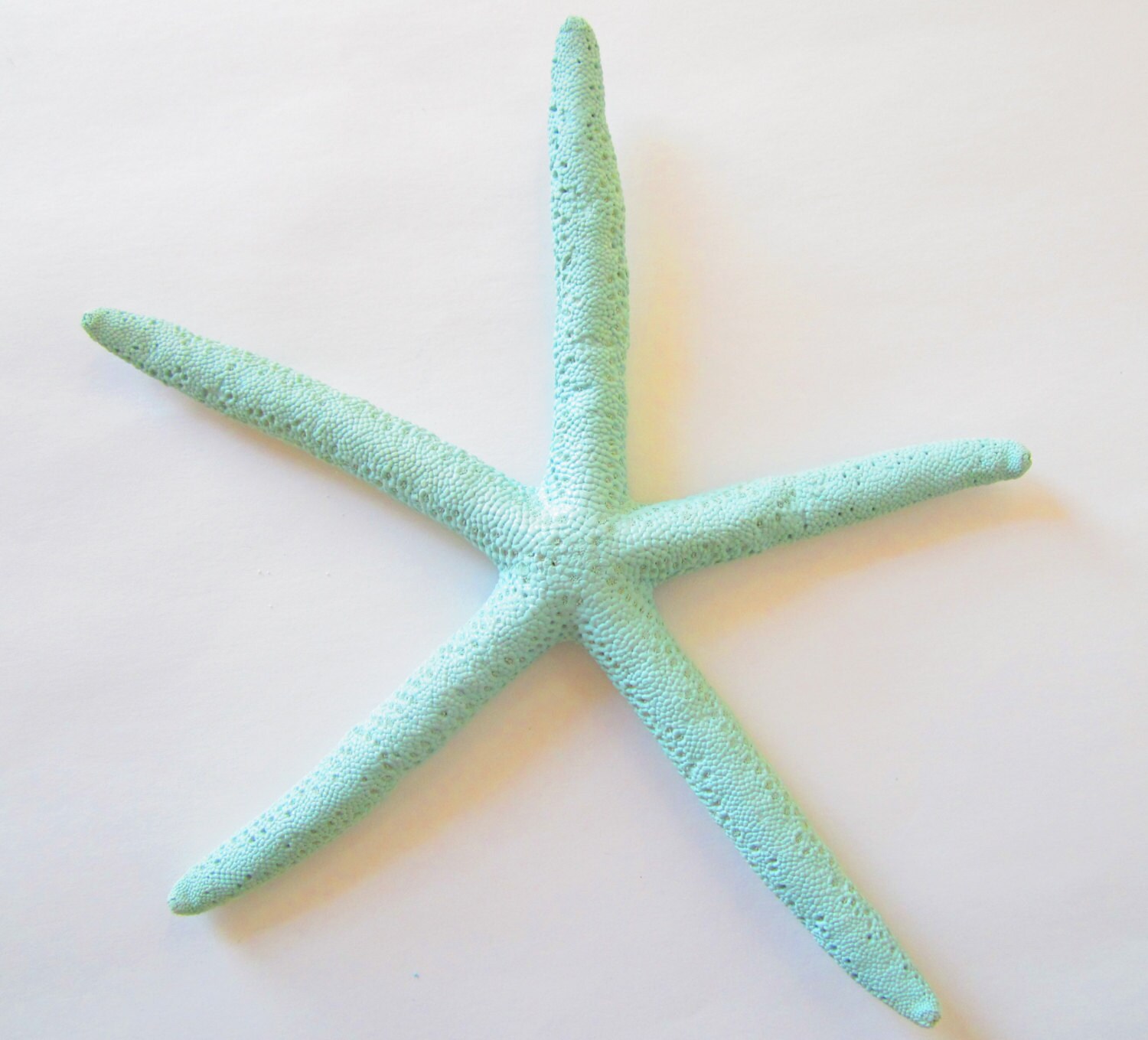 Painted Starfish 6-7set of Three-robin's - Etsy