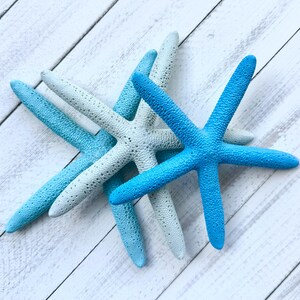 Painted Starfish - 6-7"-set of Three-robins Egg-aqua-turquoise-starfish ...