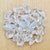 White Sea Shell Mix Beach Wedding Decor Sea Shells Bulk Bag of Shells ...