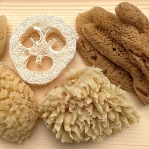 Silk Bath Cut Sponges 1 35 Pieces natural Sea Sponges deep Sea Sponge bath Sponge bath Sponges hypoallergenic Sponge beauty Supplies Etsy UK