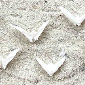 Sand Dollar Doves-sand Dollars-beach Wedding Decor-beach Home Decor-sand Dollar Story-sand ...