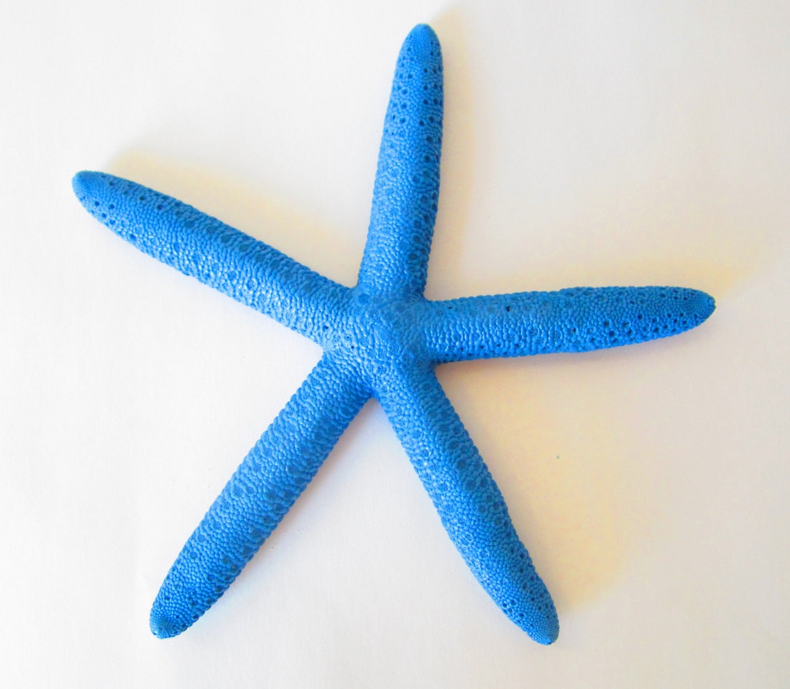 Painted Starfish 6-7set of Three-robin's - Etsy