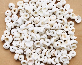 Loose Puka Shells - Etsy