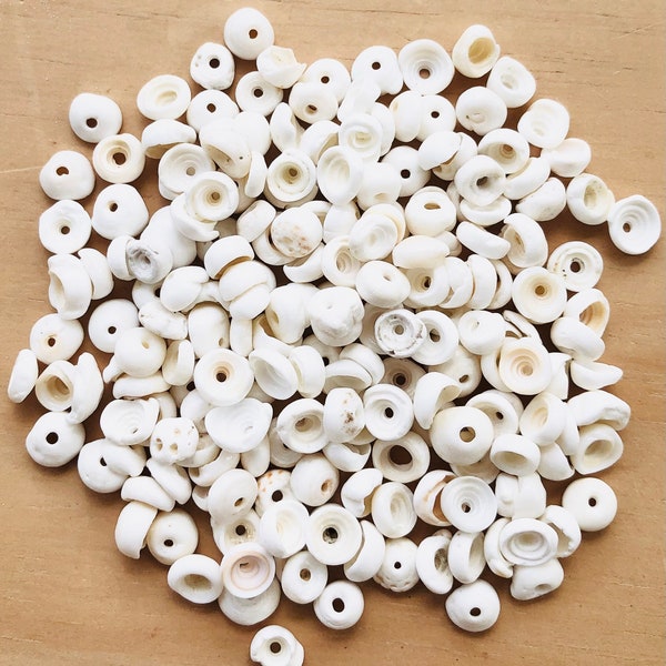 Puka Shell Necklace - Etsy