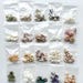 Small Seashell Mix: Deluxe Beach Wedding Decor, Craft Supplies - Etsy
