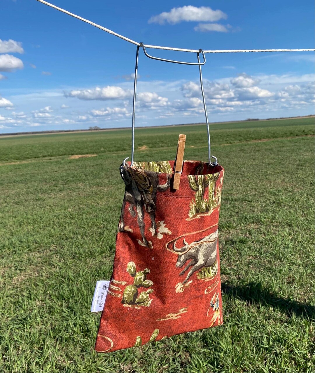 Rodeo Clothespin Holder, Laundry Room Accessory, Cowgirl Wash Room ...