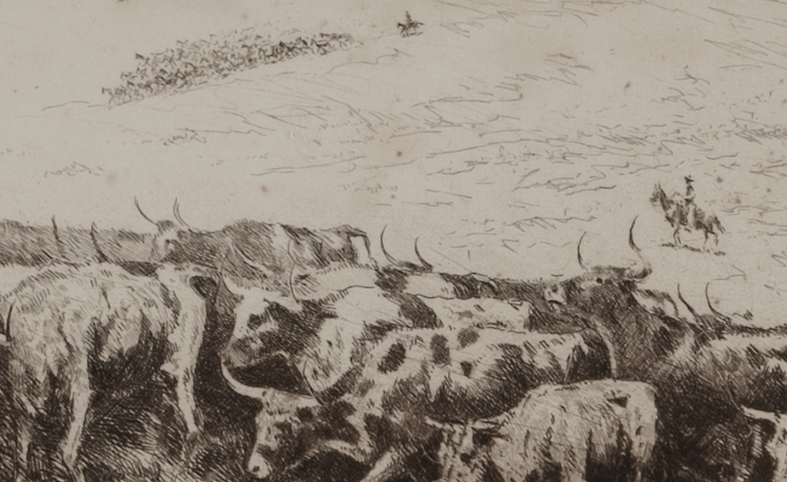 Cowboy With Cattle | Digital Vintage Drawing | Printable Southwestern ...
