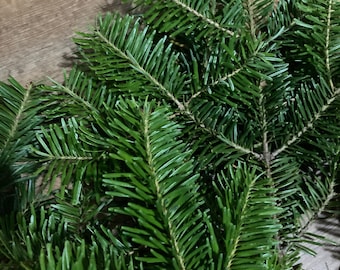 Maine Balsam Fir Tips Fresh Pre-cut Ends for Wreath Making ...