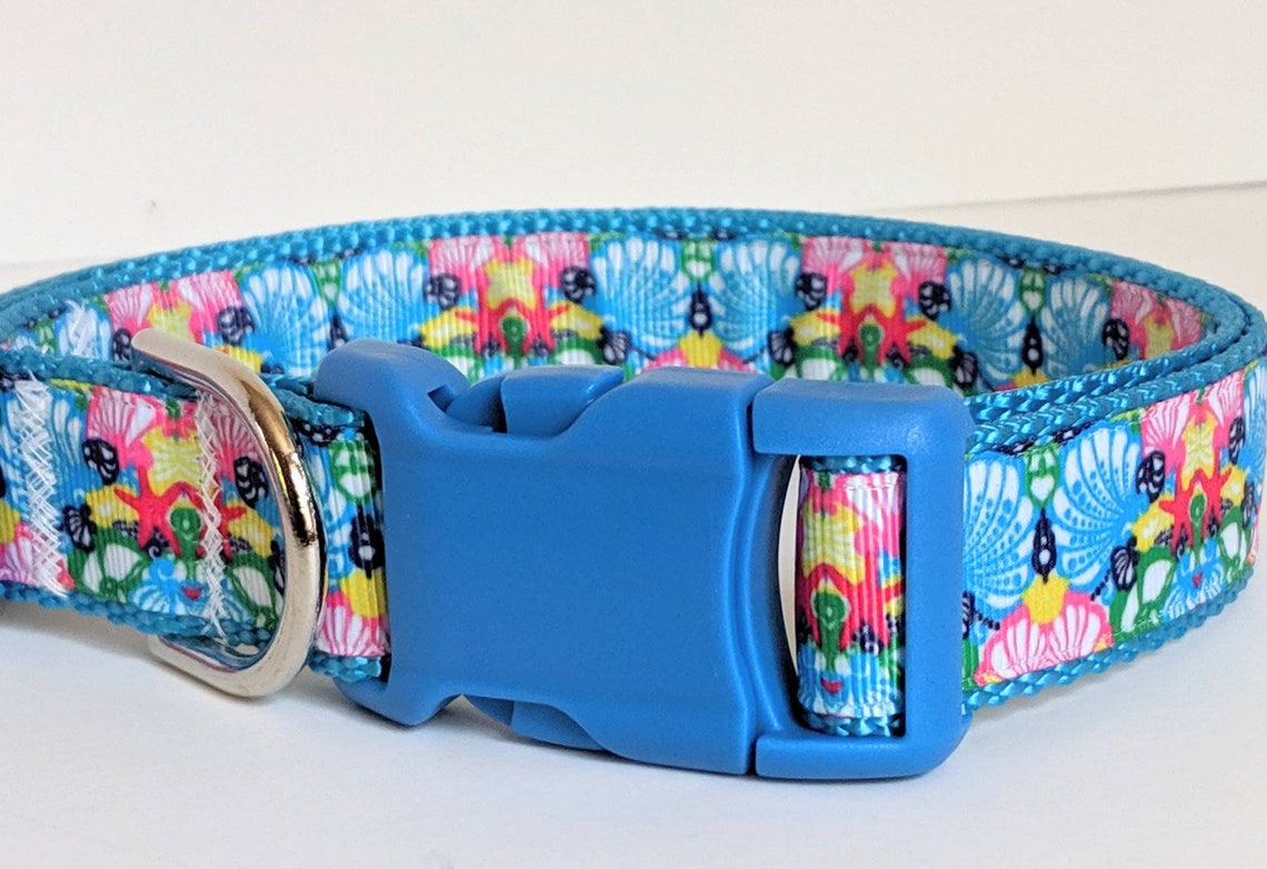Seashell Dog Collar and (optional) Leash Set - Girl Dog Collar With ...