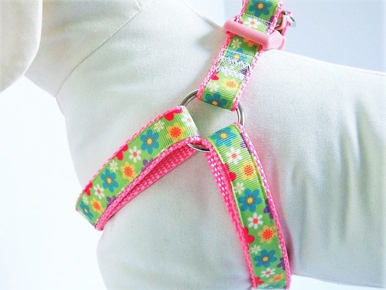 Step-in Dog Harness and (optional) Leash With Flowers- Pink and Green ...
