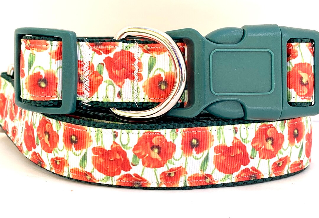 Poppy Dog Collar and (optional) Leash Set Red and Green Floral Dog ...