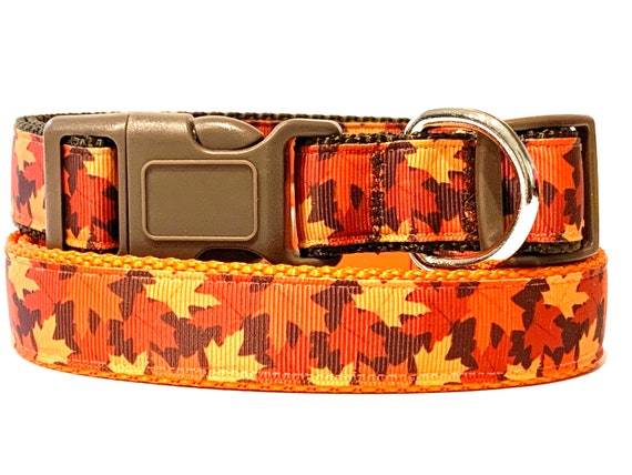 Autumn Dog Collar With Fall Leaves Adjustable Small or Large - Etsy