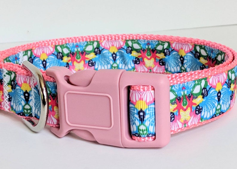Seashell Dog Collar and (optional) Leash Set - Girl Dog Collar With ...