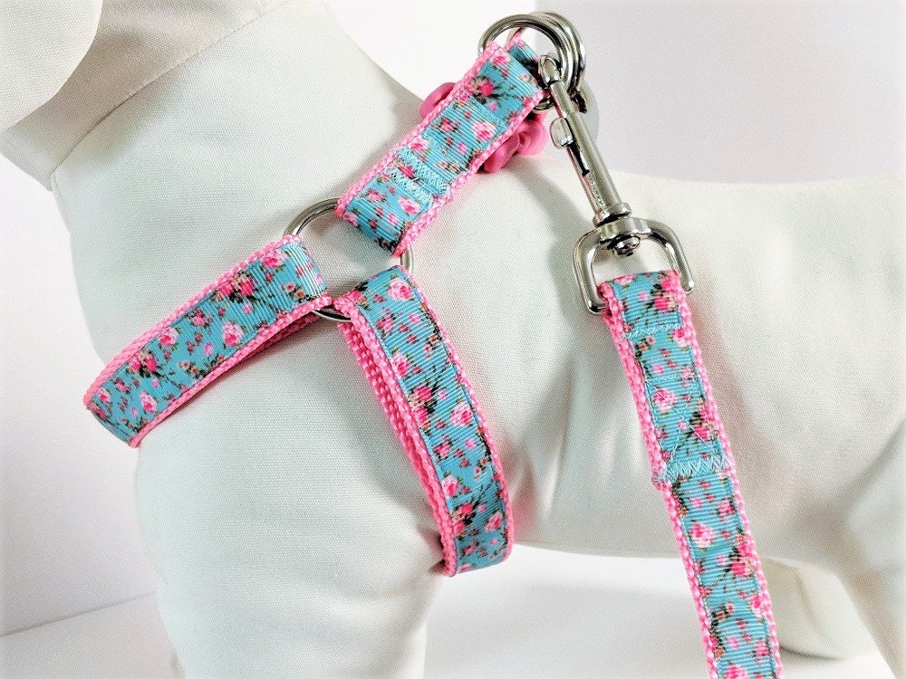 Step-in Dog Harnessand (optional) Leash - Pink and Aqua Floral Dog ...