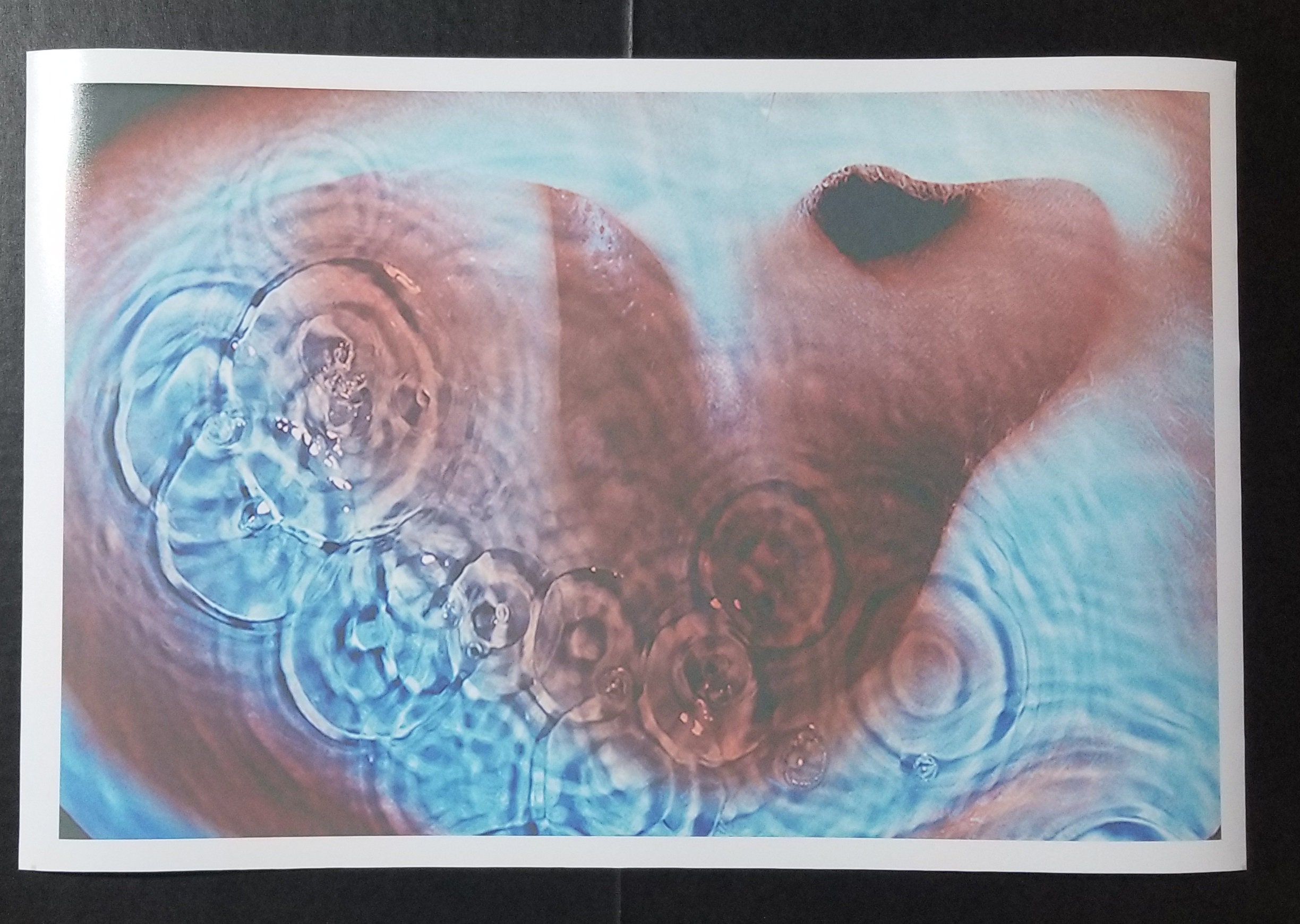 Pink Floyd Meddle Album Cover