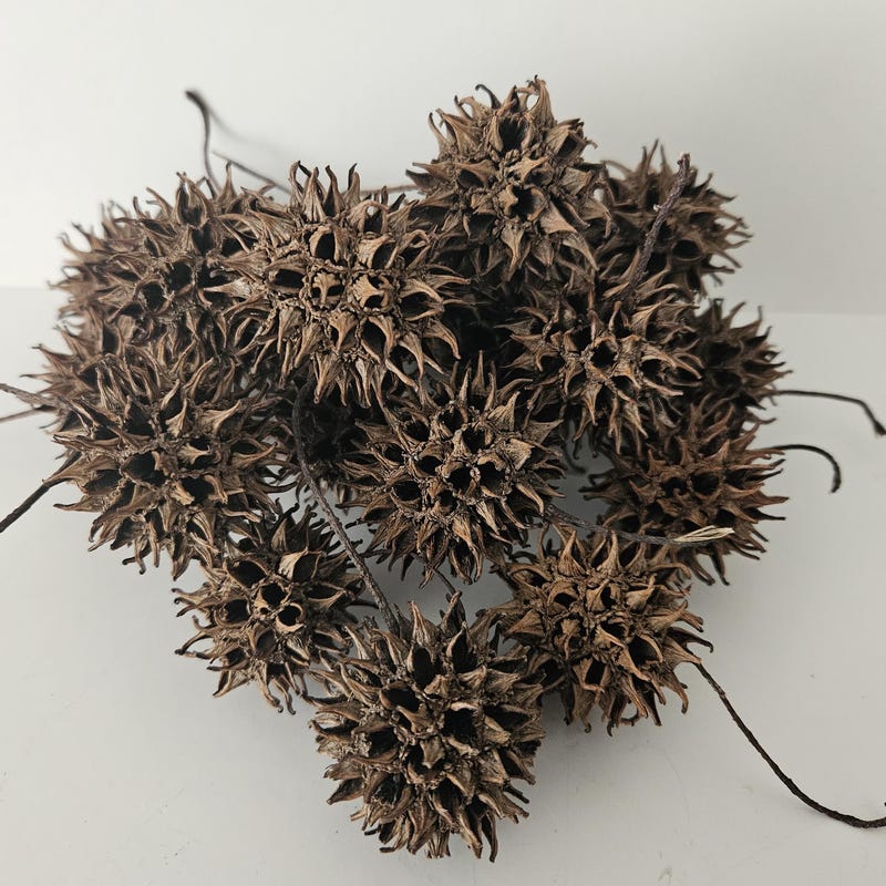 Sweet Gum Ball Crafts - Etsy