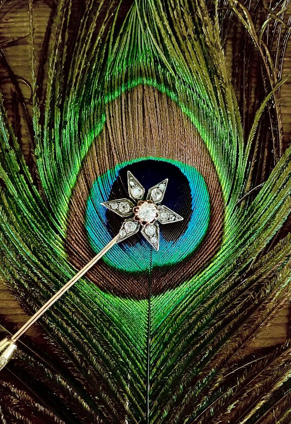 victorian birmingham star diamond - Gem